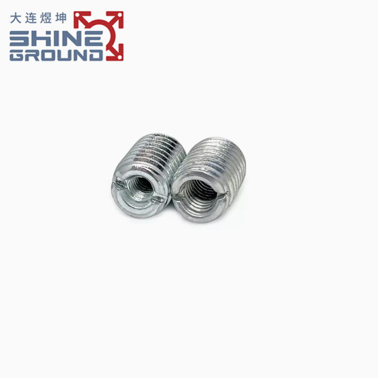 Internal and External Threaded Reducer Nut Insert | Standard Series In ...